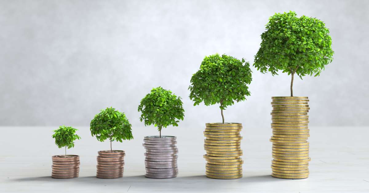 Investments Objectives